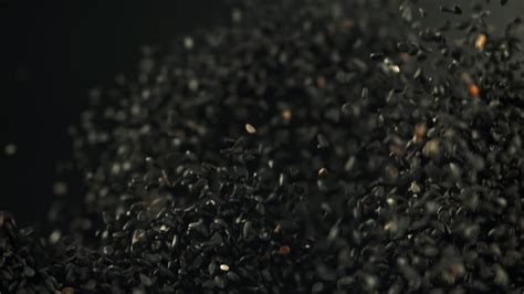 Image result for Slow Motion Exploding Seeds