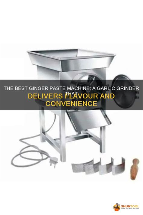 Image result for Ginger Garlic Paste Heavy Machine