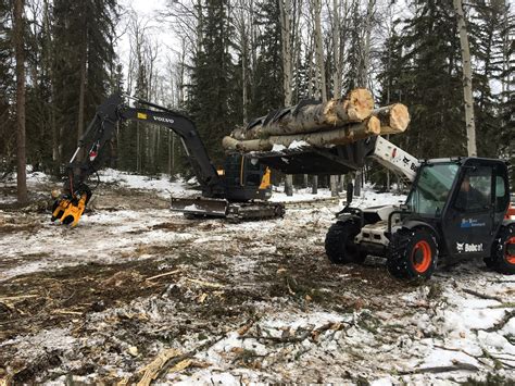 Image result for Selective Logging