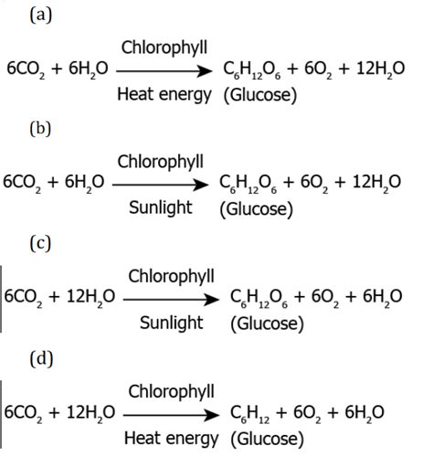 Image result for Science MCQ Class 10 Life Proces