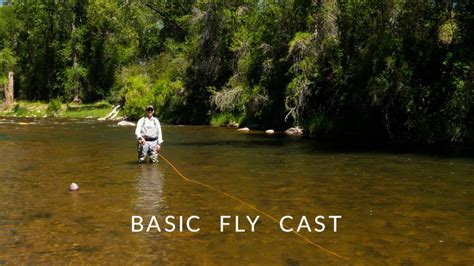 Image result for Single-Hand Fly Cast