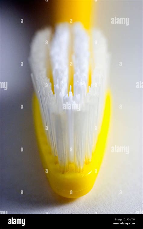 Image result for Yellow Toothbrush