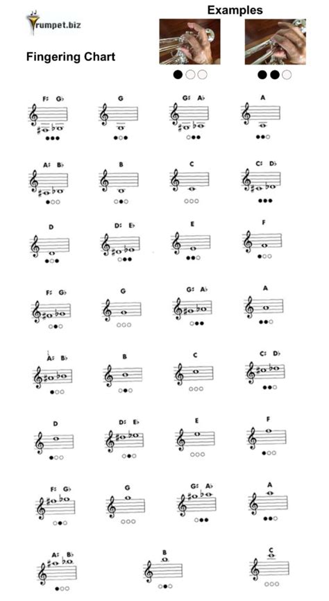 Image result for Basic Trumpet Notes