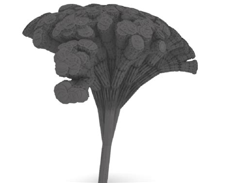 Image result for Python L