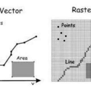 Image result for Similarities Between Raster and Vector Data Models