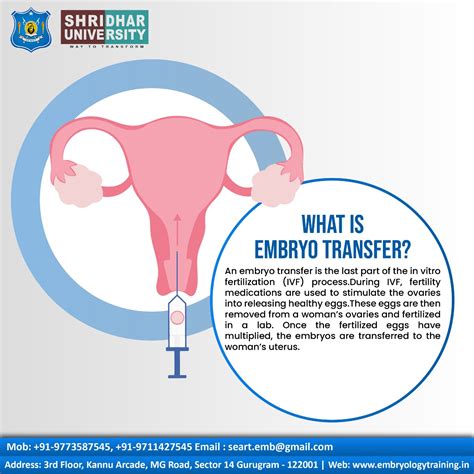 Image result for Embryo Transfer Technology