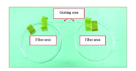 Image result for Entity Map