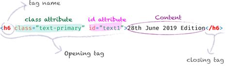 Image result for How to Extract Body of a Website in Python