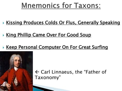 Image result for Classification and Codification for PPT