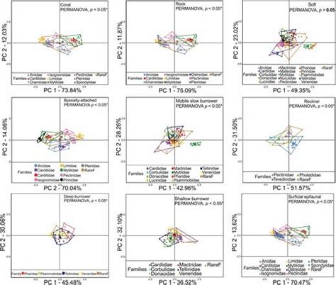 Image result for Morphological Convergence Examples