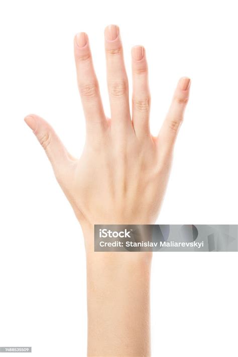 Image result for German Sign Language Numbers Human Hand