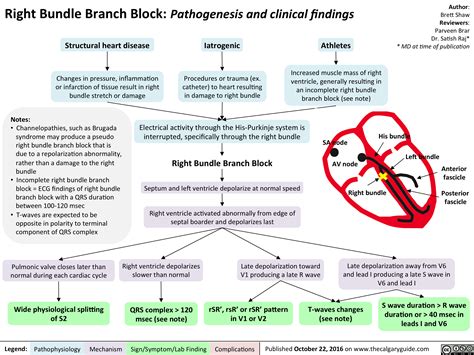 Image result for Incomplete Bundle Branch Block Left Treatment