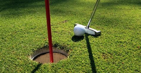 Image result for Putting Lesson