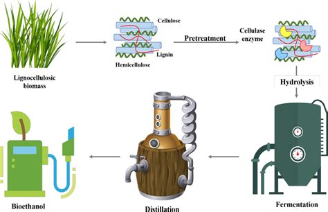 Image result for Bioethanol Chemical Process