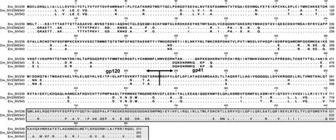 Image result for Envelope Sequence Alignment