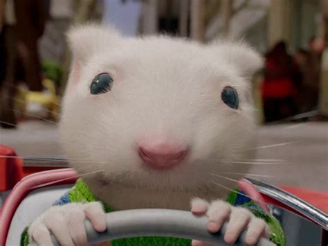 Image result for Stuart Little 2 Computer Scenes