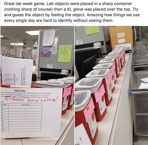 Image result for Lab Week Food Plan