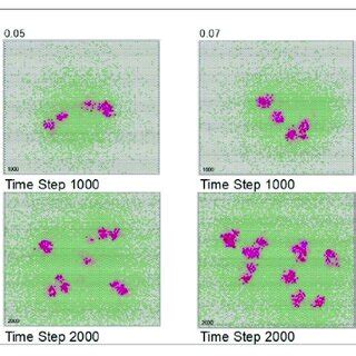 Image result for Example of Morphological Change
