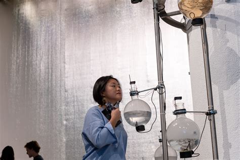 Image result for Sisel Tolas Work