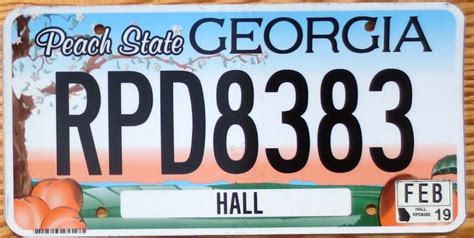 Image result for Georgia State License Plate