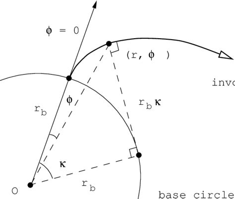 Image result for Involute Geometry