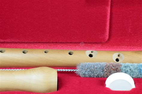 Image result for Recorder Wind Instrument