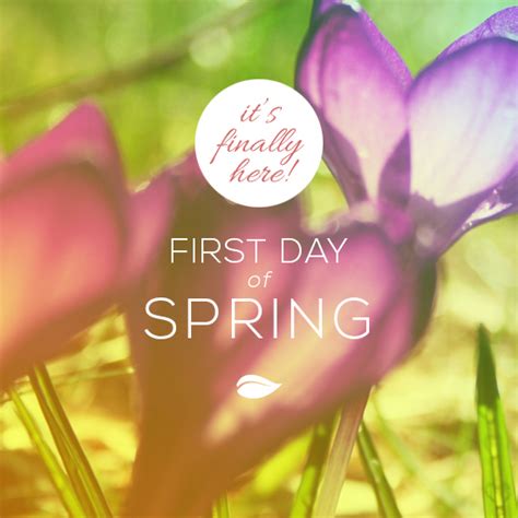 Image result for Countdown Spring