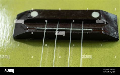 Image result for Ukulele 4 Strings