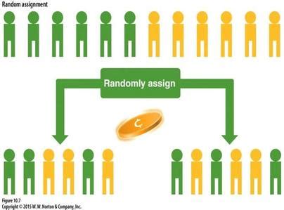 Image result for Random Assignment