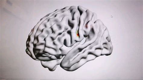 Image result for BrainNet Viewer Mapping File English