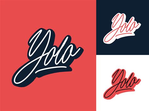 Image result for Yolo Python Logo