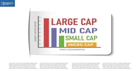 Image result for What Is Large Cap Mid Cap Small Cap