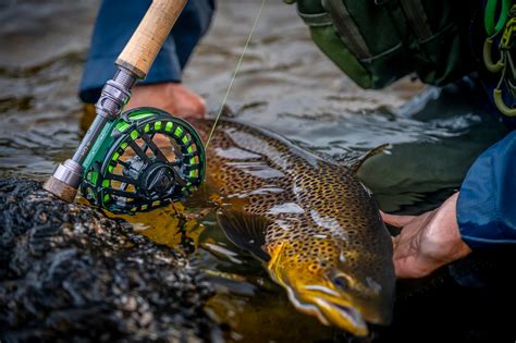 Image result for Vision Fly Fishing Net