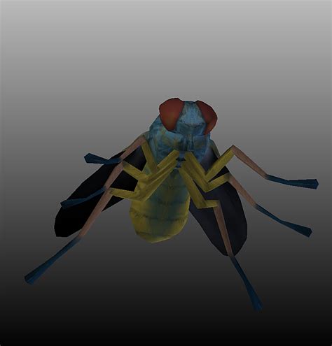 Image result for Fly Texture Unity