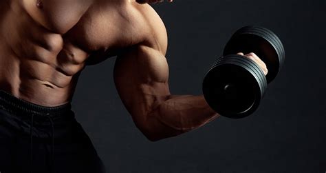 Image result for Adding Muscle Mass