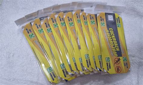 Image result for Cockroach Lizard Trap