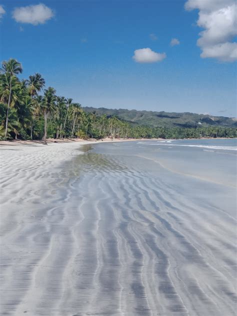 Image result for Patsy Laboner