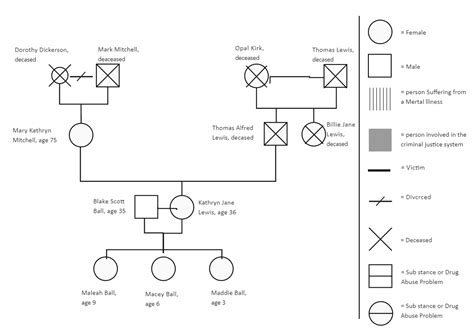 Image result for Detailed Genogram