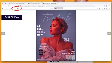 Image result for HTML PDF Preview
