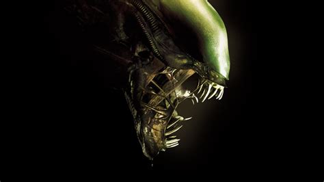 Image result for Alien Pelicula