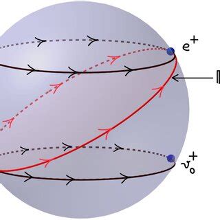 Image result for SL Dynamic Exercises