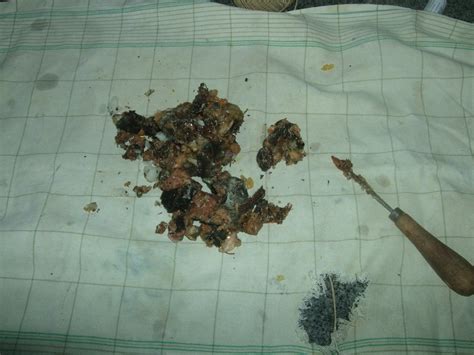 Image result for How to Clean Tree Resin