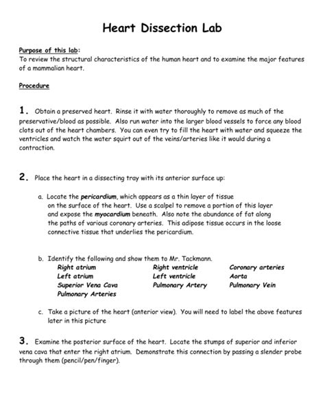 Image result for Human Heart Dissection Tutorial