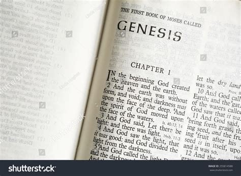 Image result for Genesis Chapter 1 Text