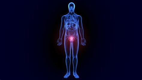 Image result for Post-Prostatectomy