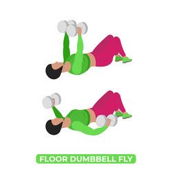 Image result for Chest Fly Exercise Drawing