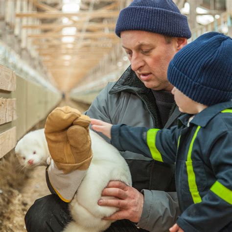 Image result for Fur Tree Farming