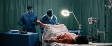 Image result for Serial Surrogate