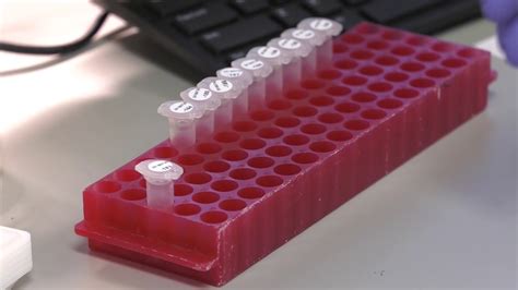 Image result for Testing for Tickles