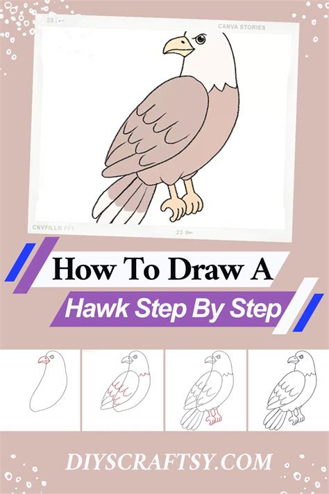 Image result for Hawk Drawing Brid